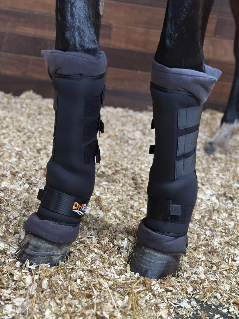 DriRug Horse Leg Wraps - DriRug
